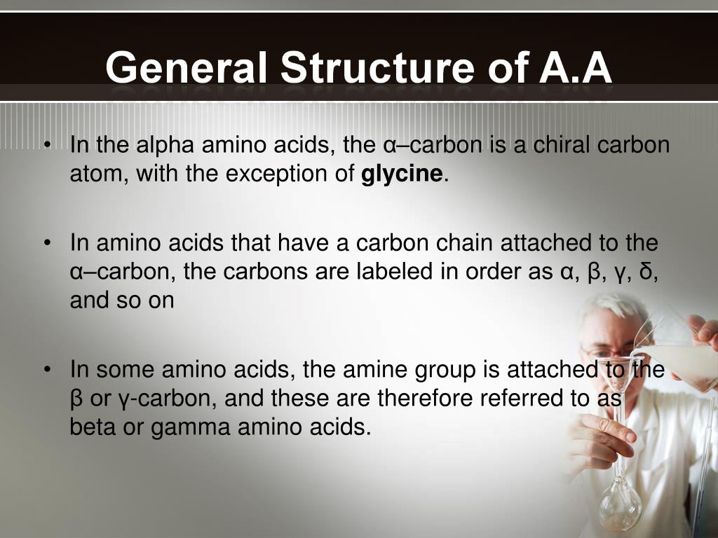 PPT - In the alpha amino acids, the α–carbon is a chiral carbon atom ...