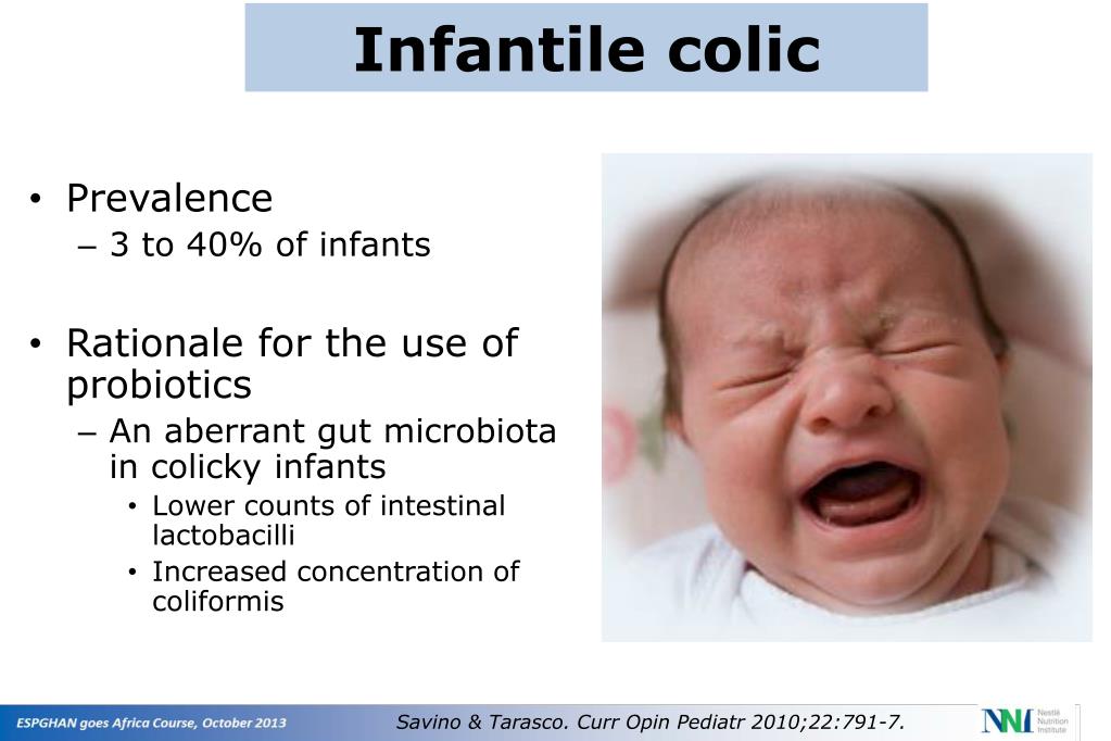 PPT - Ferdinand Haschke Medical University of Vienna, Austria ...