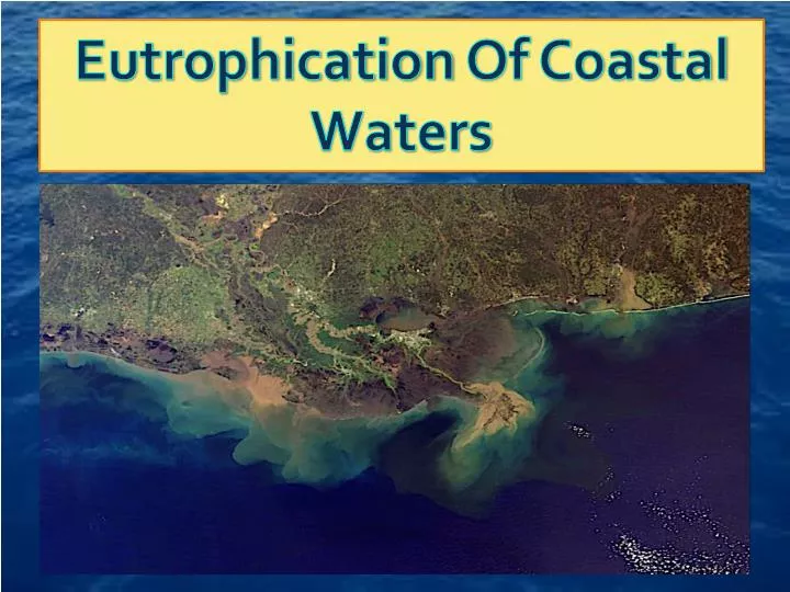 PPT - Eutrophication Of Coastal Waters PowerPoint Presentation, free ...