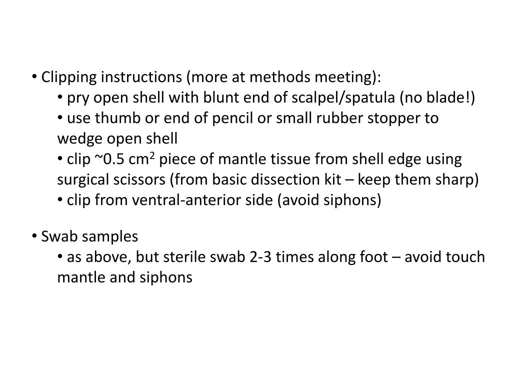 PPT - Species: Leptodea fragilis (wetlands/river mouths) PowerPoint ...