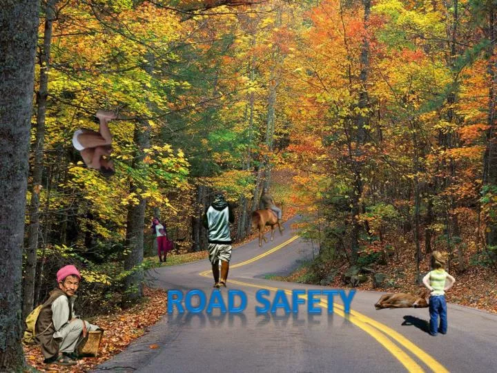 PPT - Road Safety PowerPoint Presentation, free download - ID:2207391