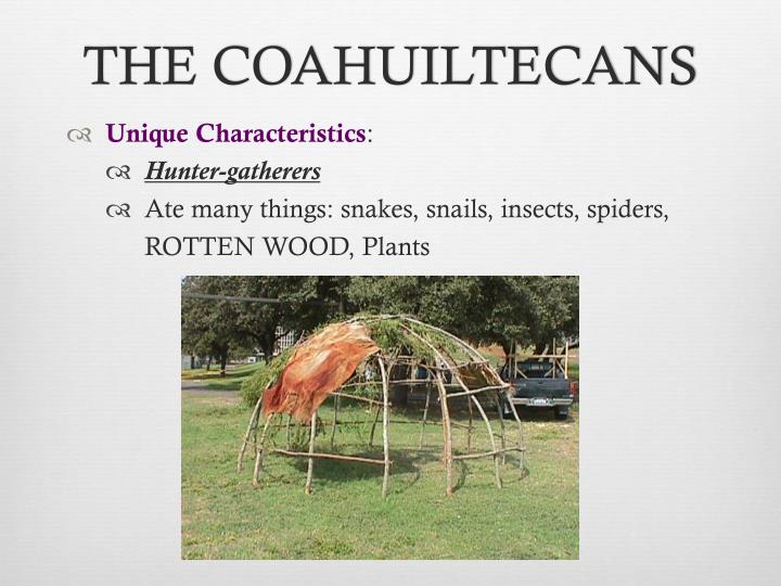 PPT - Native Texas Cultures PowerPoint Presentation - ID:2207745