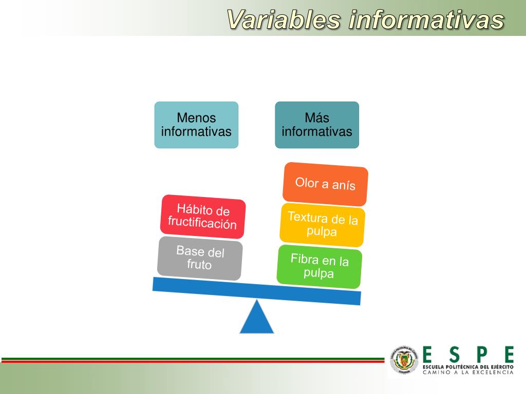 PPT - Caracterización de la variabilidad genética de aguacate de los ...