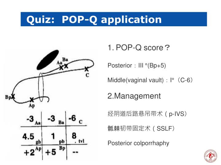 PPT - Pelvic Floor Dysfunction PowerPoint Presentation - ID:2208762