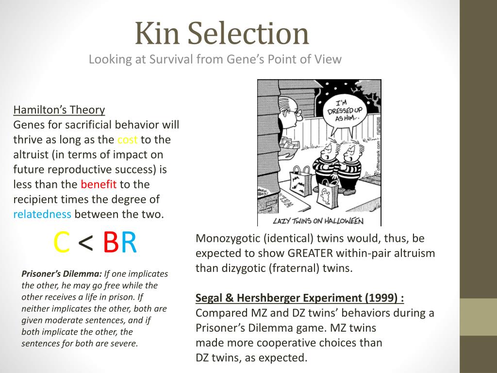 PPT - Family & Friends PowerPoint Presentation, free download - ID:2208797