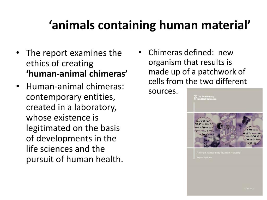 PPT - animals and science studies – humans and other animals in the ...