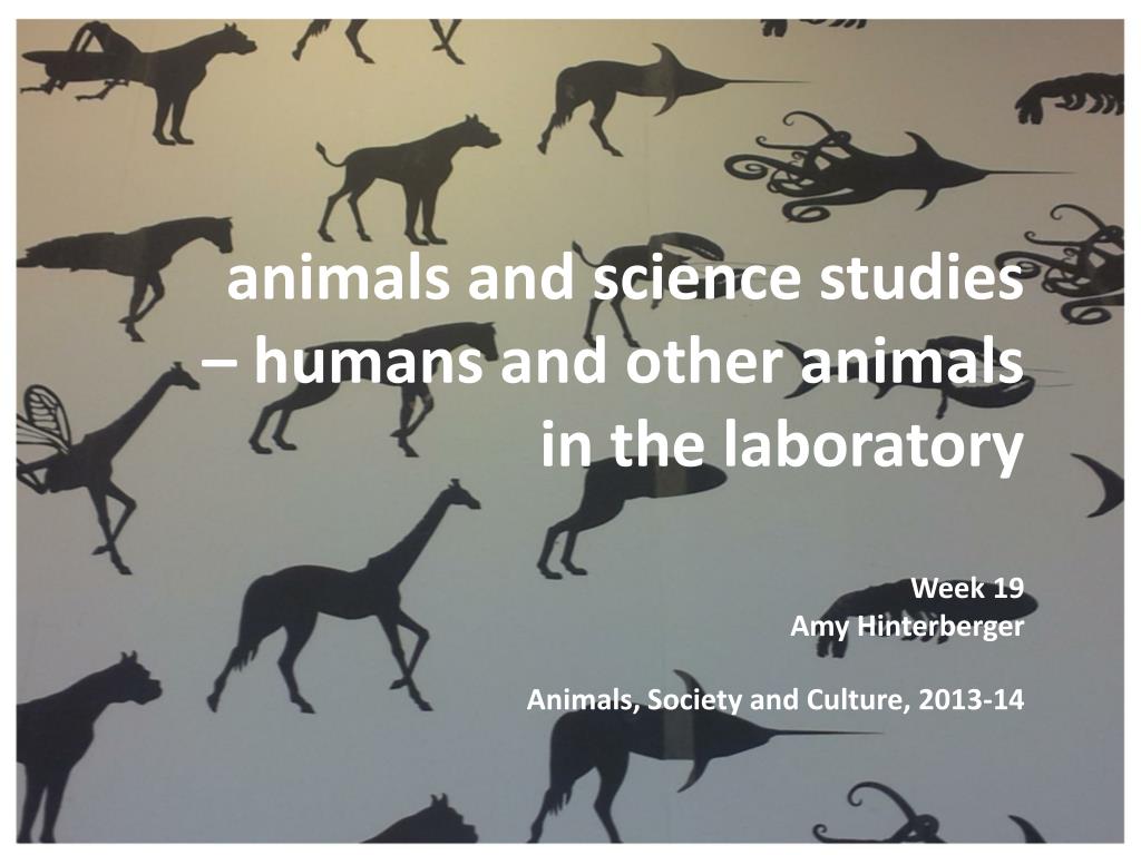 PPT - animals and science studies – humans and other animals in the ...