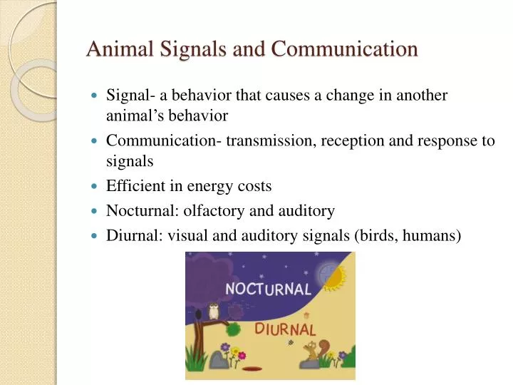 PPT - Animal Signals and Communication PowerPoint Presentation, free ...