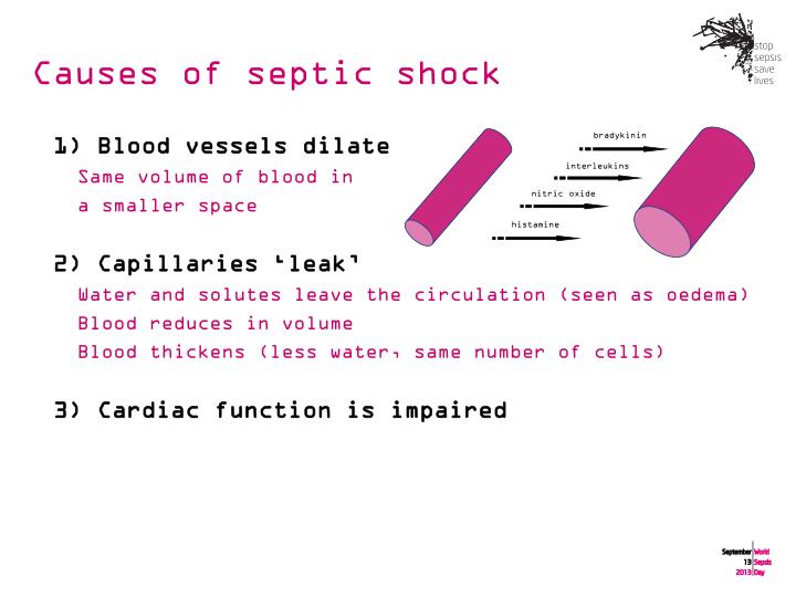PPT - Identifying Sepsis... PowerPoint Presentation - ID:2209268