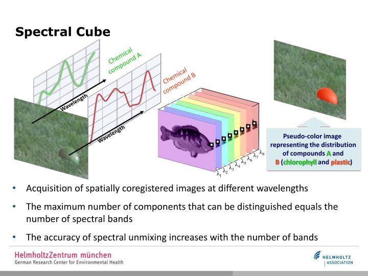 PPT - Multispectral Imaging and Unmixing PowerPoint Presentation - ID ...