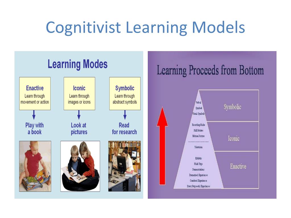 PPT - Behaviorism vs. Cognitivism PowerPoint Presentation, free ... PPT - Behaviorism vs. Cognitivism PowerPoint Presentation, free ...