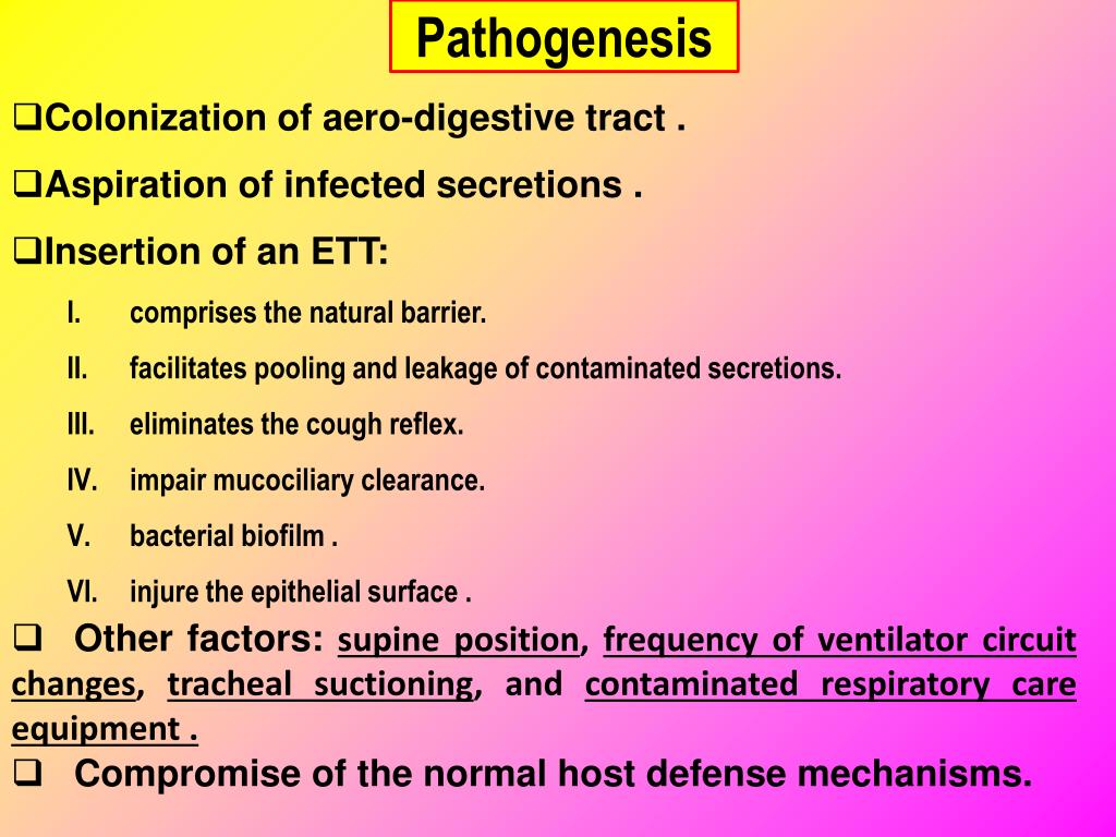 PPT - VENTILATOR – ACQUIRED PNEUMONIA By Prof. Adel Salah Professor of ...