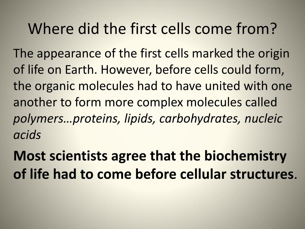PPT - ORIGINS OF LIFE PowerPoint Presentation, free download - ID:2211261