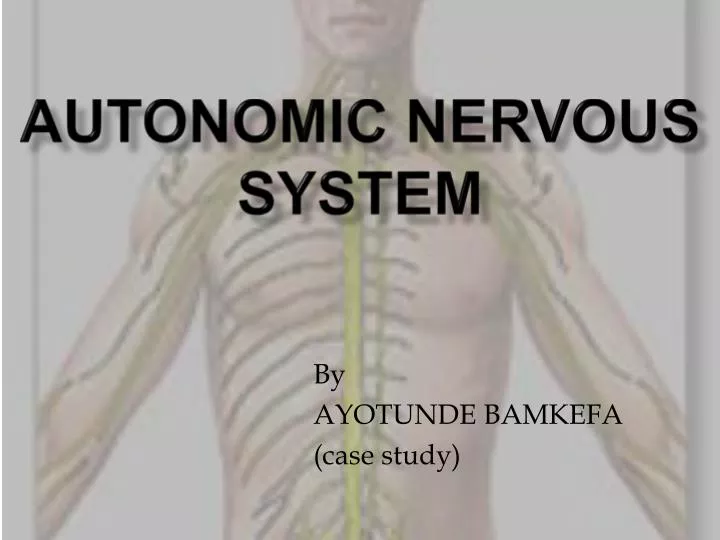 PPT - Autonomic nervous system PowerPoint Presentation, free download ...