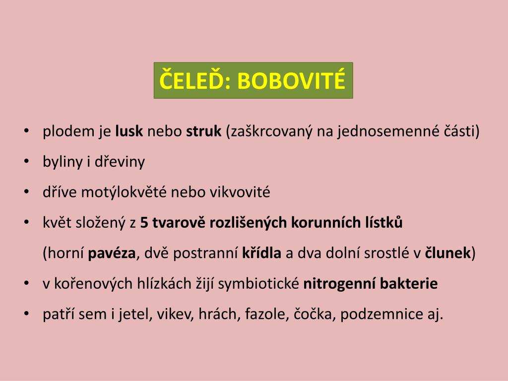 PPT - M1: LESNICKÁ BOTANIKA ČELEĎ: LOMIKAMENOVITÉ, ROSNATKOVITÉ ...