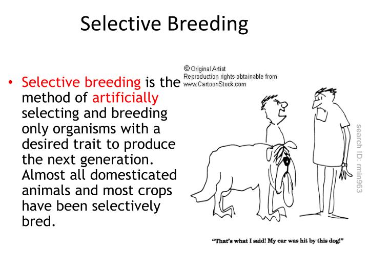 PPT - How can we cause an organism to possess a trait of another ...
