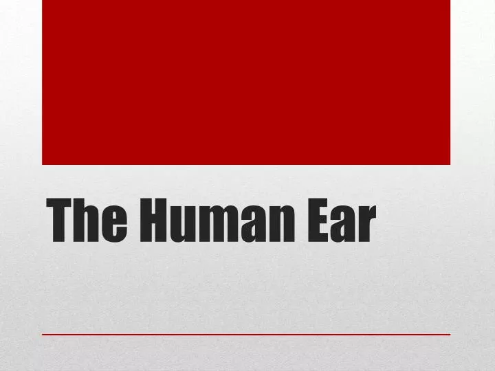 PPT - The Human Ear PowerPoint Presentation, free download - ID:2212815