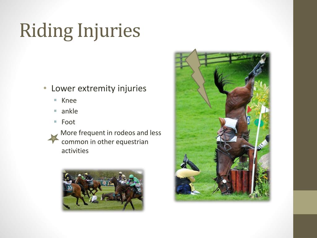 PPT - The Downfalls of riding & Injury Rehabilitation PowerPoint ...