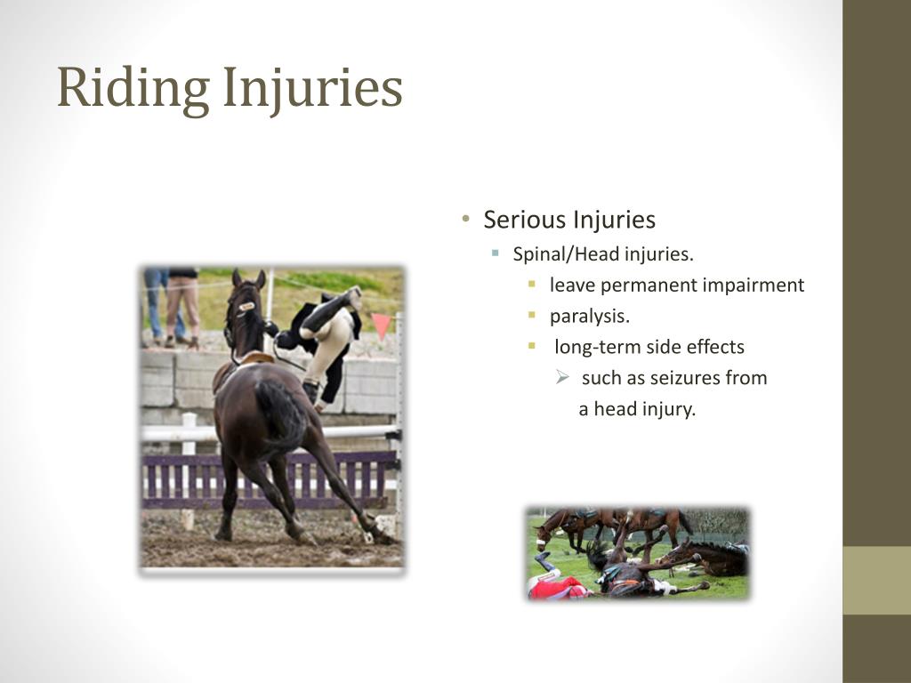 PPT - The Downfalls of riding & Injury Rehabilitation PowerPoint ...