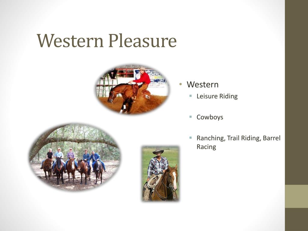 PPT - The Downfalls of riding & Injury Rehabilitation PowerPoint ...