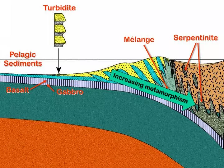 PPT - Turbidite PowerPoint Presentation, free download - ID:2213615