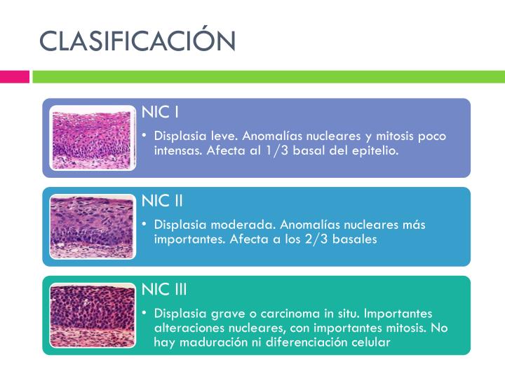 PPT - Cáncer Cervicouterino PowerPoint Presentation - ID:2213699