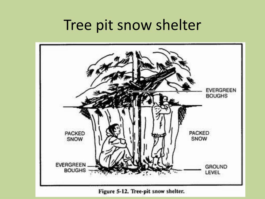 PPT - A positive state of mind is the key to survival in an outdoor ...