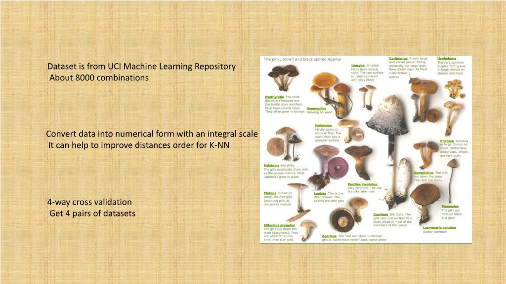 PPT - Wild Mushrooms Classification – Edible or Poisonous PowerPoint ... PPT - Wild Mushrooms Classification – Edible or Poisonous PowerPoint ...