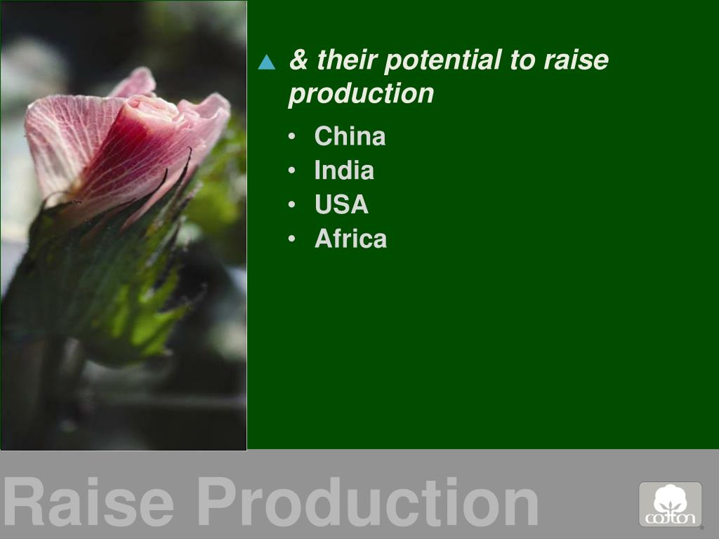PPT - World’s Most Promising Cotton Yield Technologies & their ...