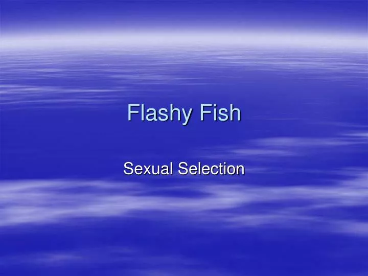 PPT - Flashy Fish PowerPoint Presentation, free download - ID:2214495