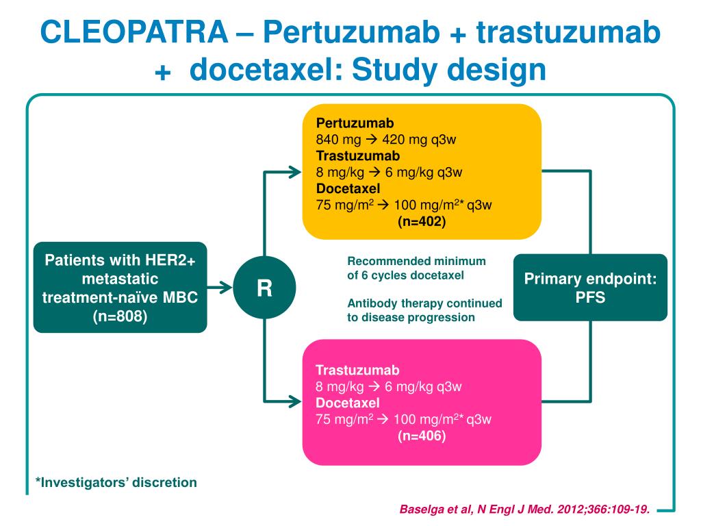 PPT - First line therapeutic options for HER2 positive metastatic ...