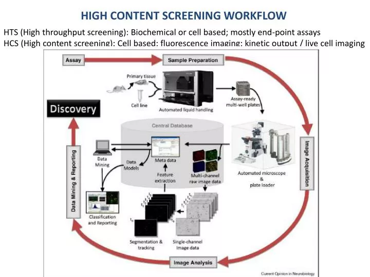 PPT - High content screening workflow PowerPoint Presentation, free ...