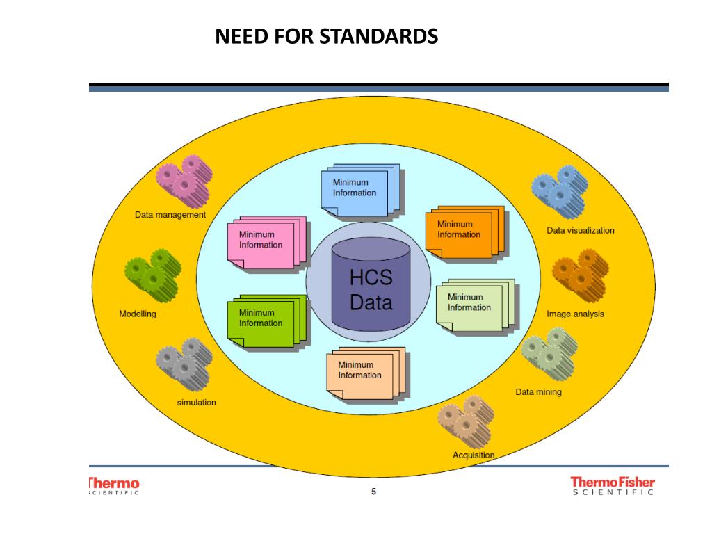 PPT - High content screening workflow PowerPoint Presentation, free ... PPT - High content screening workflow PowerPoint Presentation, free ...