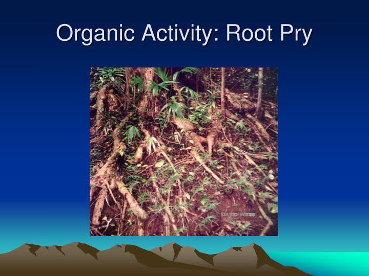 PPT - Weathering: Mechanical or Chemical? PowerPoint Presentation - ID ...