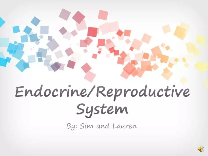PPT - Endocrine/Reproductive System PowerPoint Presentation, free ...