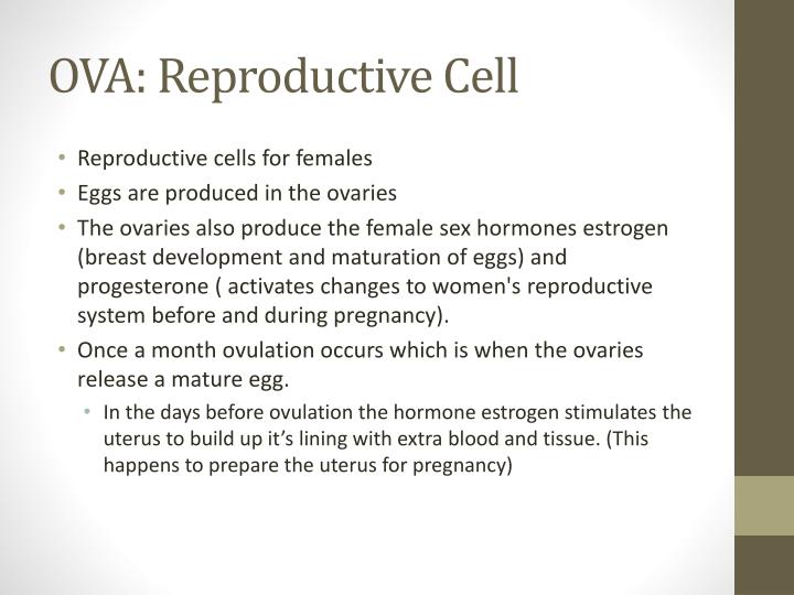 PPT - Reproduction and Heredity PowerPoint Presentation - ID:2215656