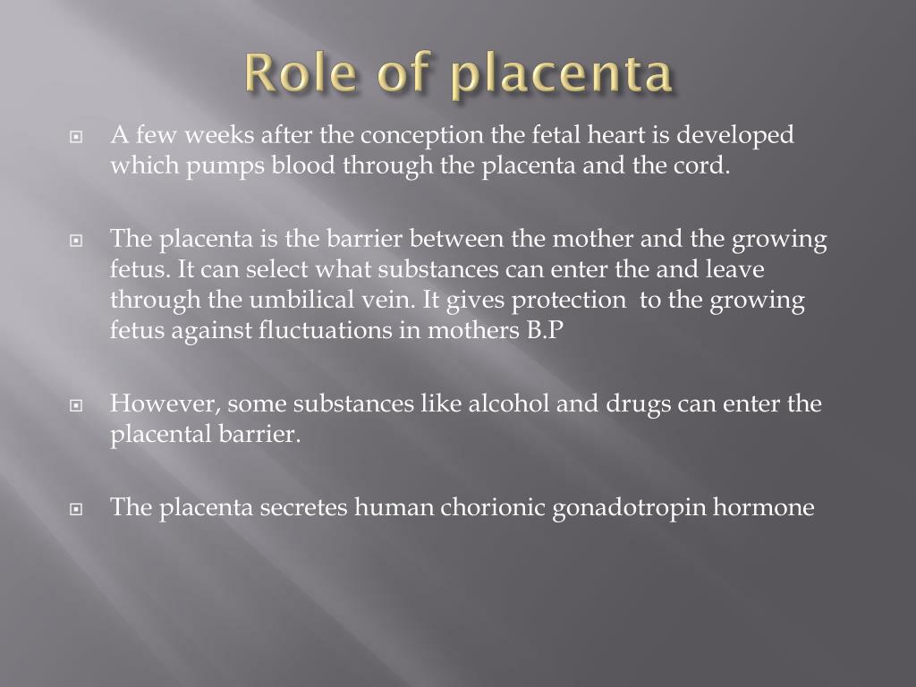PPT - Understanding Human Reproductive Systems PowerPoint Presentation ...