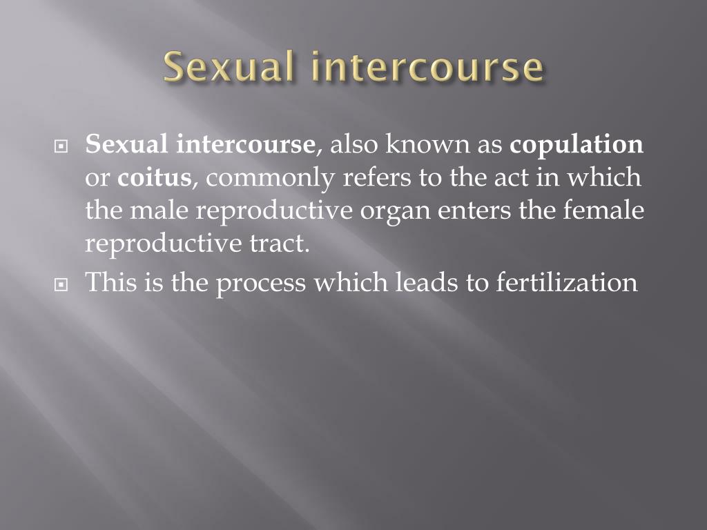 PPT - Understanding Human Reproductive Systems PowerPoint Presentation ...