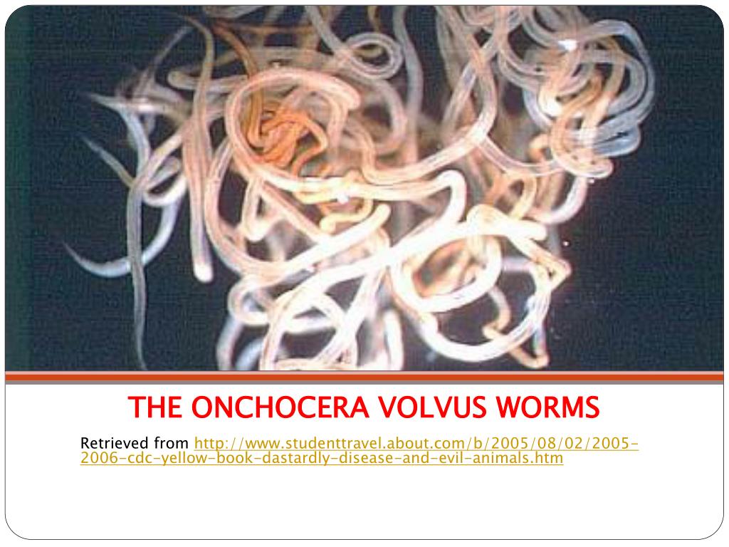 PPT - ONCHOCERCIASIS: THE PUBLIC HEALTH IMPACT IN AFRICA PowerPoint ...
