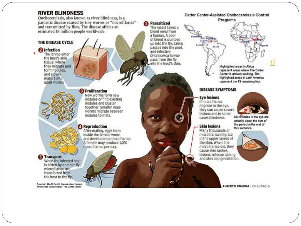 PPT - ONCHOCERCIASIS: THE PUBLIC HEALTH IMPACT IN AFRICA PowerPoint ...