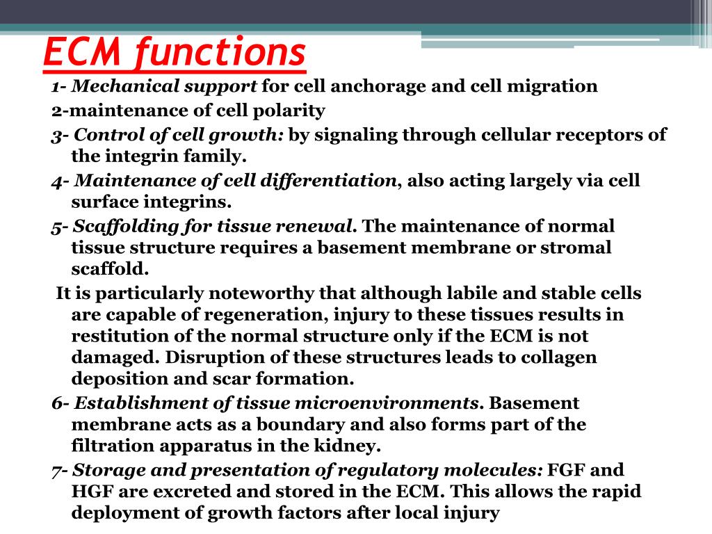 PPT - TISSUE REPAIR; REGENERATION, HEALING, and FIBROSIS PowerPoint ...