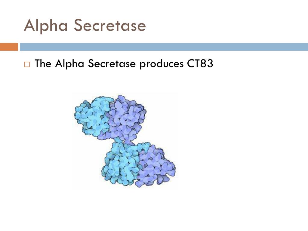 PPT - Diseases Caused By Protein Damage PowerPoint Presentation, free ...