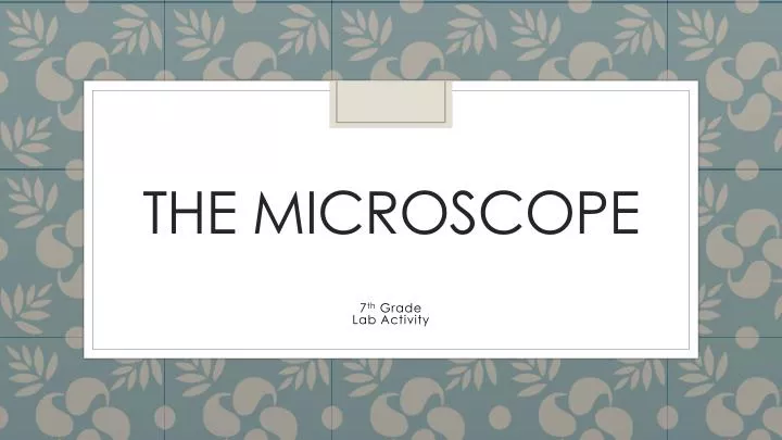 PPT - The Microscope PowerPoint Presentation, free download - ID:2217150