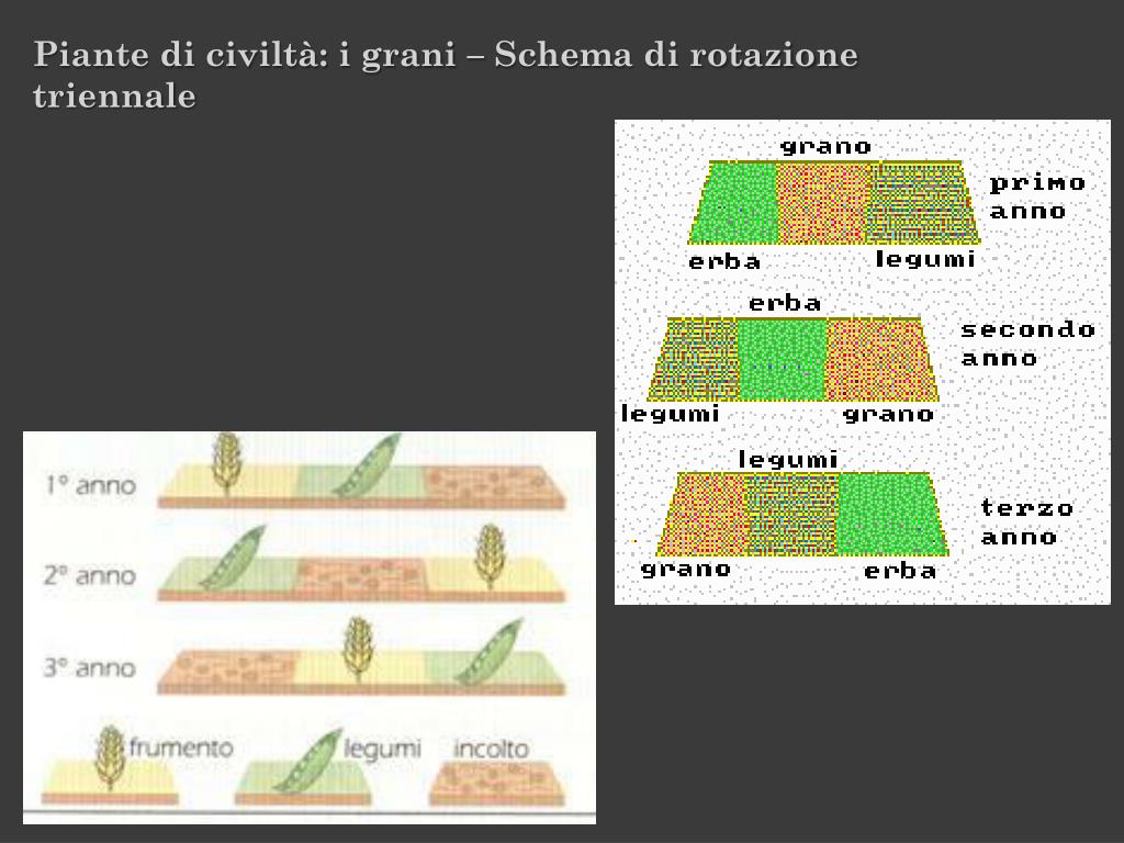 PPT - Lezione 1 Storia Economica: un’introduzione PowerPoint ...