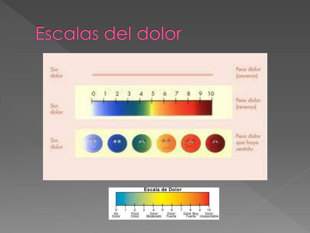 PPT - FISIOPATOLOGIA DEL DOLOR PowerPoint Presentation, free download - ID:2217575