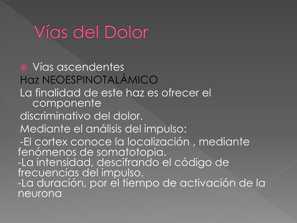 PPT - FISIOPATOLOGIA DEL DOLOR PowerPoint Presentation, free download ...
