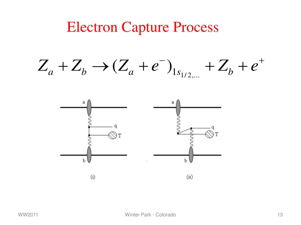 PPT - Lepton Pair Production Accompanied by Giant Dipole Resonance at ...