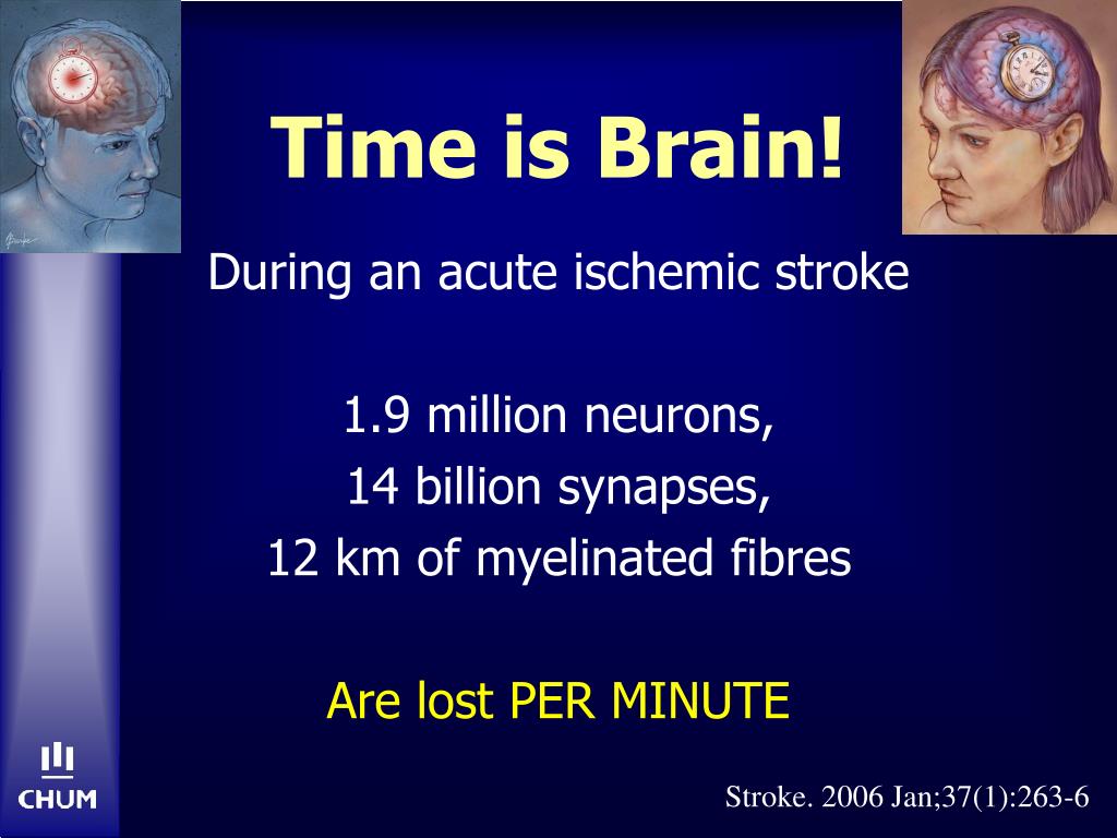 PPT - Endovascular treatment of acute ischemic stroke PowerPoint ...