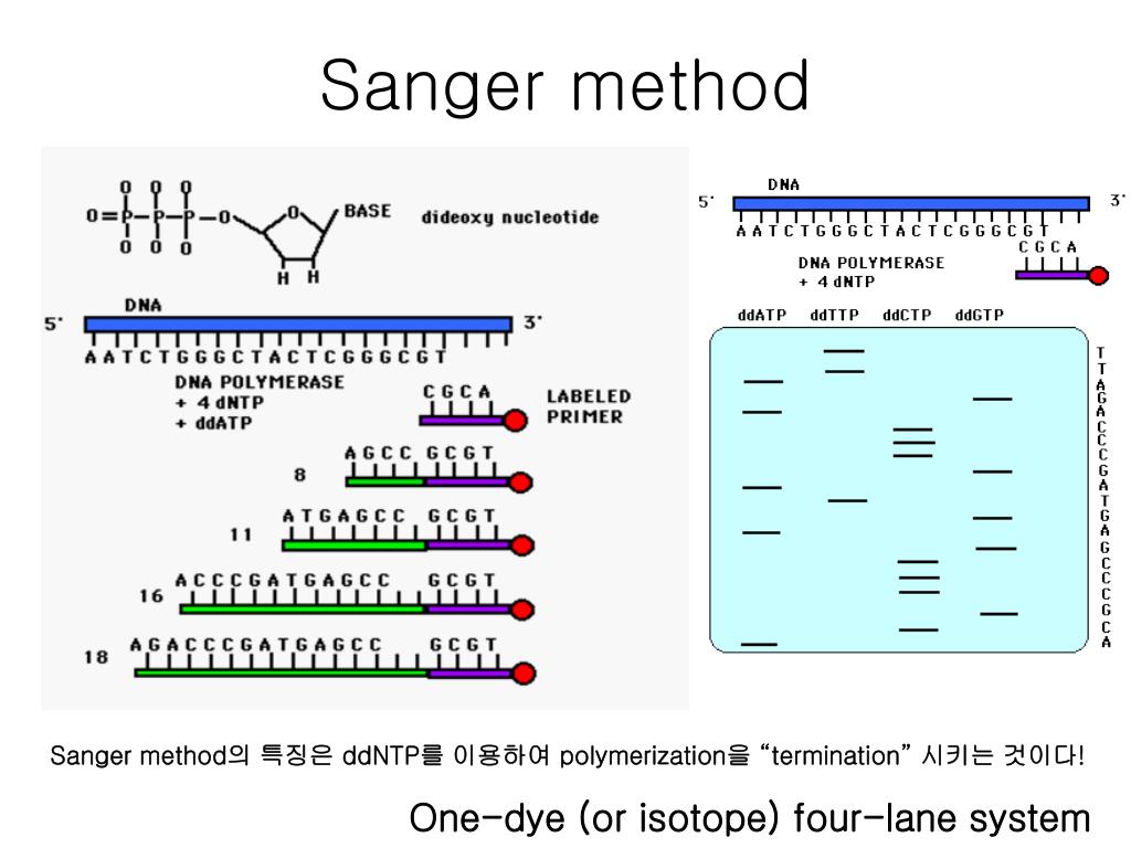 PPT - 3 주차 Molecular and Biological Chemistry 3 PowerPoint Presentation ...