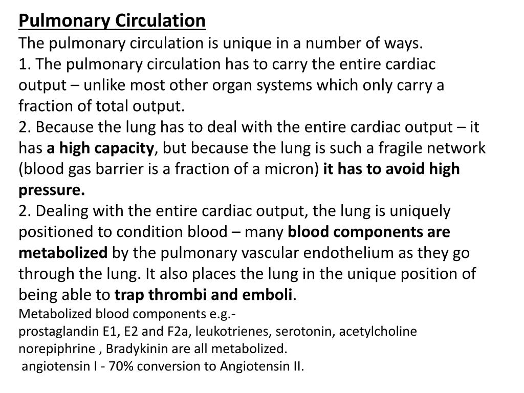PPT - resin cast of pulmonary arteries resin cast of pulmonary veins ...